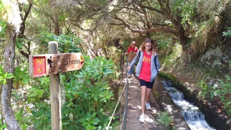 Madeira: Rabaçal, Risco and 25 Fontes Guided Hiking Tour - An In-Depth Look at the Tour Experience