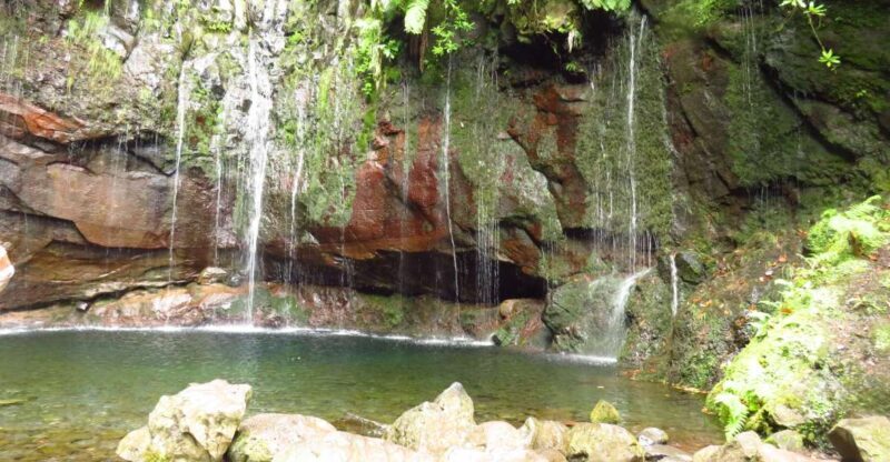 Madeira: Rabaçal, Risco and 25 Fontes Guided Hiking Tour - The Value Proposition
