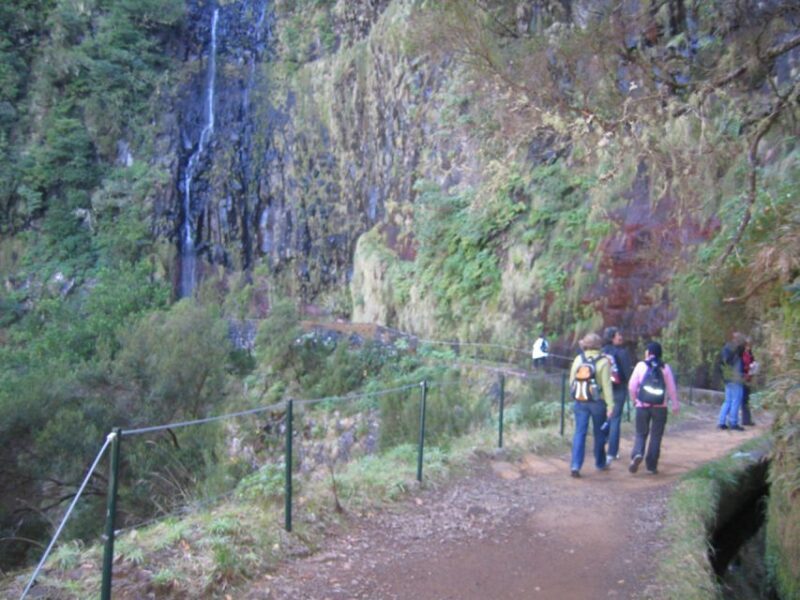 Madeira: Rabaçal, Risco and 25 Fontes Guided Hiking Tour - Frequently Asked Questions