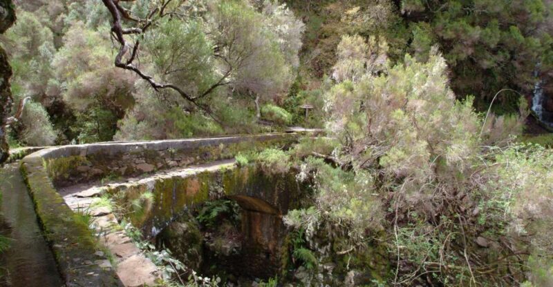 Madeira: Rabaçal Valleys 3-Hour Guided Walk - An In-Depth Review of the Rabaçal Valleys Guided Walk