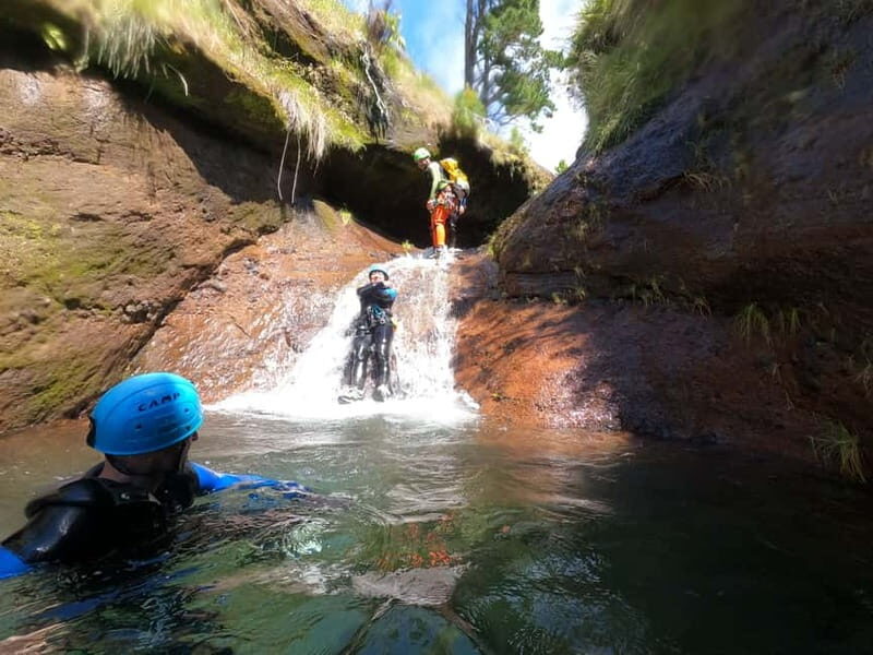 Madeira : Ribeira das Cales Canyoning (Level 1) - What to Expect from Madeira’s Ribeira das Cales Canyoning