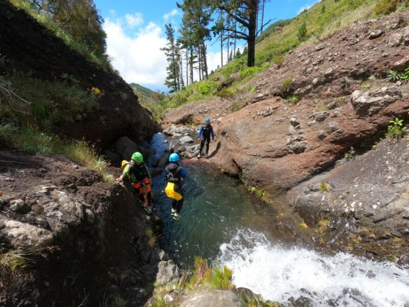 Madeira : Ribeira das Cales Canyoning (Level 1) - Detailed Review: Why You Should Consider This Tour