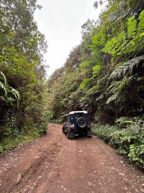 Madeira: Santana; Discover the enchanting East: Duration 7,5h - An All-Around Madeira Adventure: What to Expect