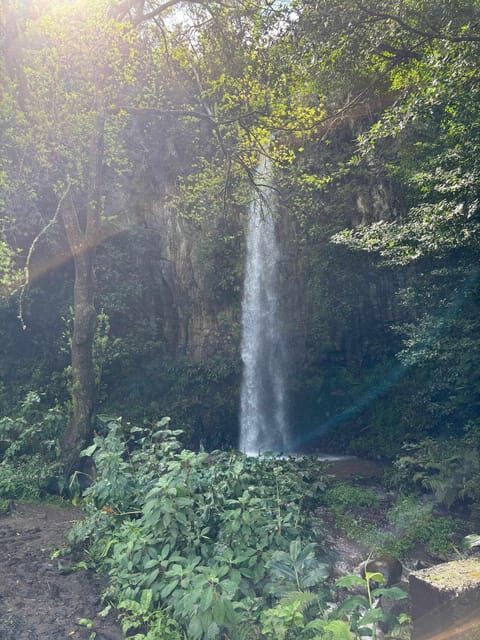 Madeira: Santana; Discover the enchanting East: Duration 7,5h - Transportation & Group Size