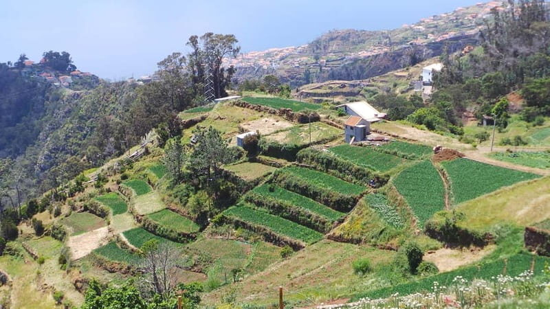 Madeira: Santana Jeep Safari and Balções Levada Walk - Frequently Asked Questions