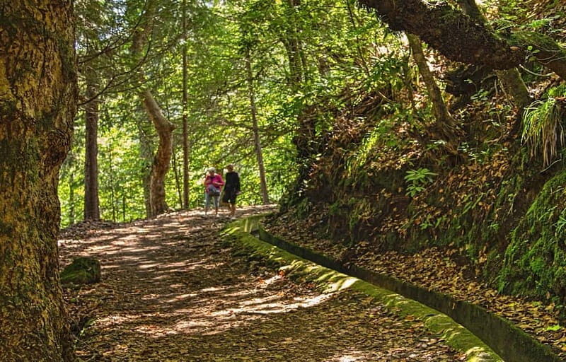 Madeira: Santana Jeep Safari and Balções Levada Walk - Final Wrap-up