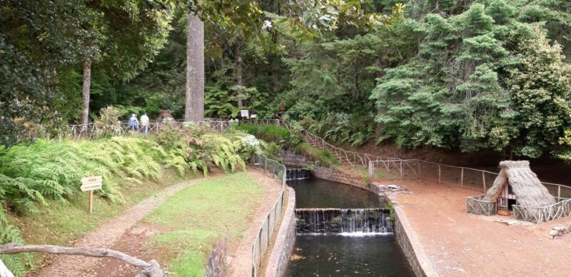 Madeira: Santana Traditional Houses Private Half-Day Tour - Introduction
