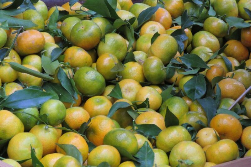 Madeira : Santo de Serra Local Farmers' Market half day trip - An Overview of the Experience