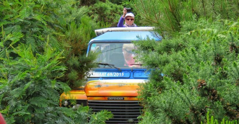 Madeira : Santo de Serra Local Farmers' Market half day trip - The Scenic Off-Road Drive
