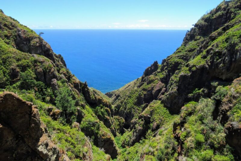 Madeira : Santo de Serra Local Farmers' Market half day trip - Value and Cost