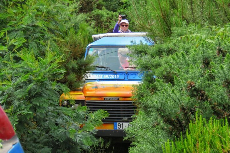 Madeira : Santo de Serra Local Farmers' Market half day trip - Who Will Love This Tour?