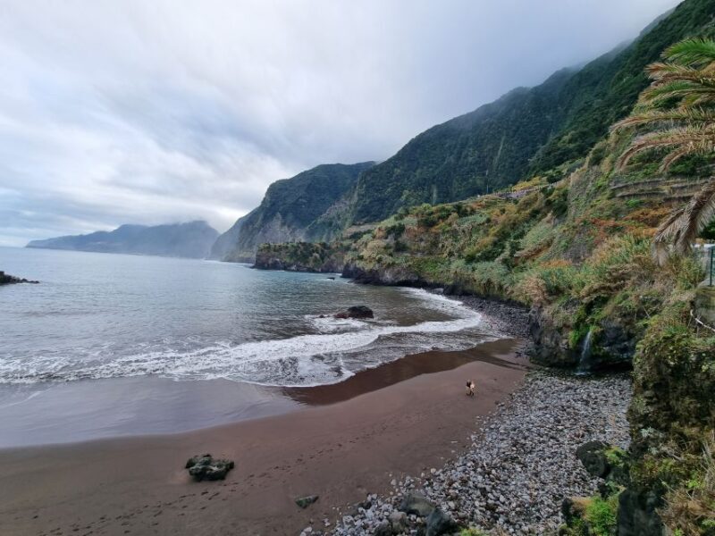 Madeira : SkyWalk, Fanal, Natural Pools 4x4 Jeep Tour - The Experiences Value