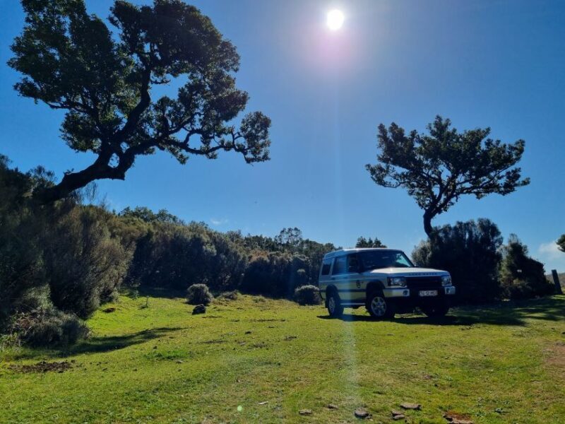 Madeira : SkyWalk, Fanal, Natural Pools 4x4 Jeep Tour - FAQ