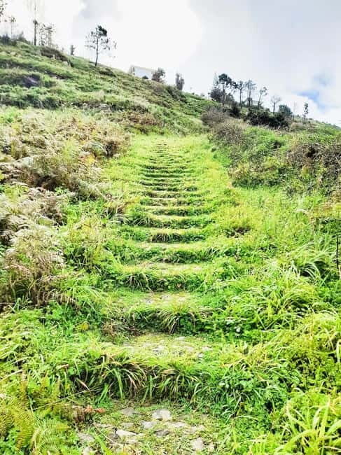 Madeira: South Madeira Private 4x4 Tour with Pickup - The Value and Who Should Consider This Tour?