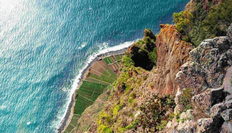 Madeira South Tour: Cabo Girão, Waterfalls for Cruise Ship - An In-Depth Look at the Tour Experience
