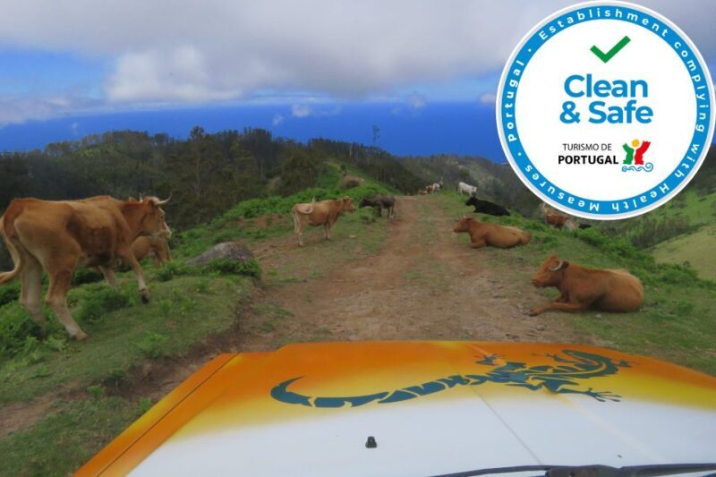 Madeira : Southwest coast, Run & Anjo´s Waterfall 4x4 Tour - FAQ