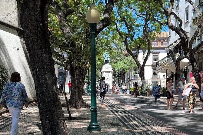 Madeira Special Private Tuk-Tuk City Tour Experience by MadTuk - The Practicalities: What to Expect