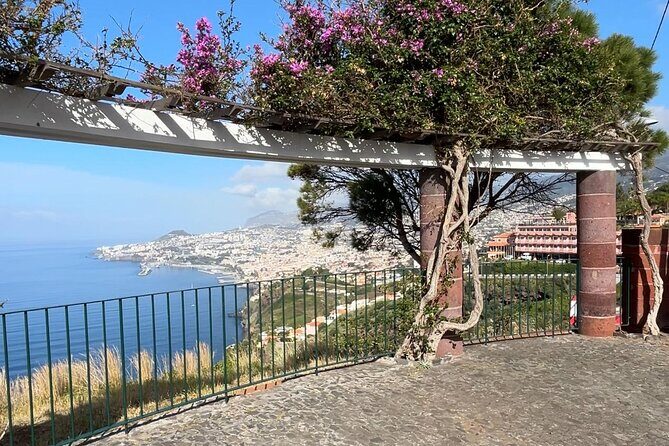 Madeira Special Private Tuk-Tuk City Tour Experience by MadTuk - Frequently Asked Questions