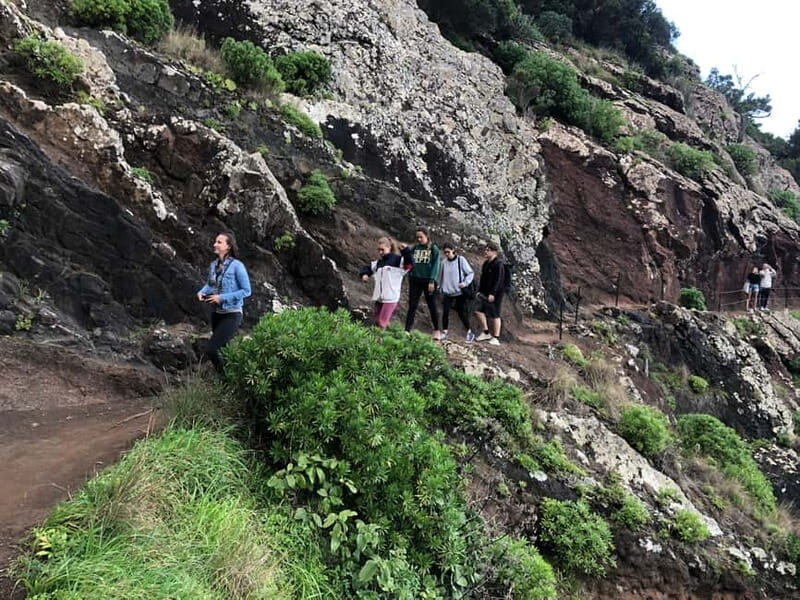 Madeira: Sunrise at Pico do Arieiro & Hike Larano trail - Who Should Consider This Tour?