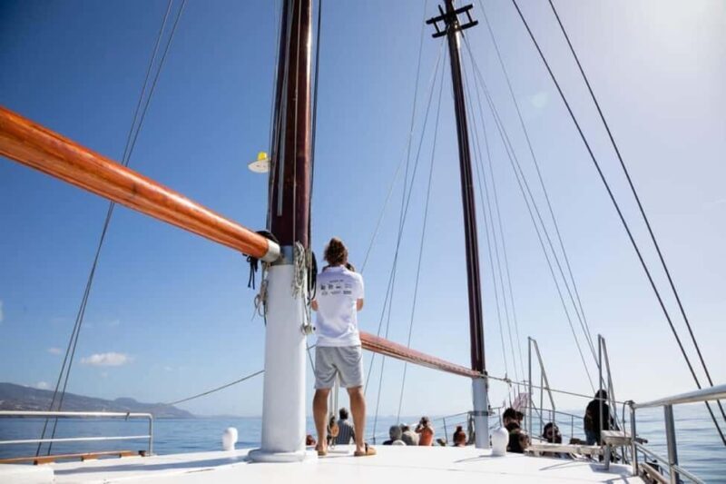 Madeira: Sunset Cruise With a Swim and Drink - FAQ