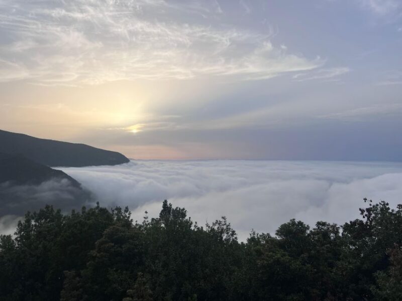 Madeira surprise tour 4x4 - Who Will Love This Tour?