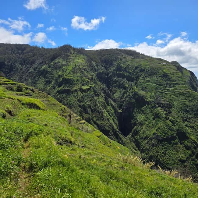 Madeira: Vereda da Ladeira  Challenging Full-Day Hike - Introduction: An Authentic Madeira Adventure