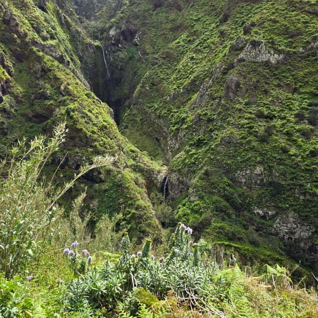 Madeira: Vereda da Ladeira  Challenging Full-Day Hike - The Itinerary in Detail