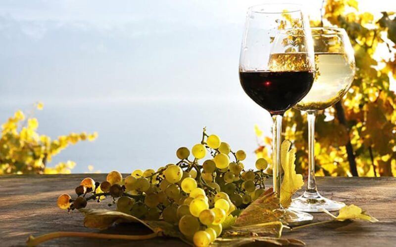 Madeira - Vineyard Tour Wine Tasting - Included - References