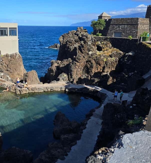 Madeira: Visit the Volcanic Pools, Waterfalls, and Magical Forest of Fanal - The Enchanted Forest of Fanal