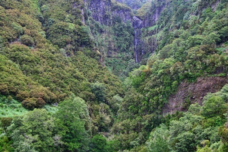 Madeira Walks - Rabaçal and the 25 Fountains - Who Should Consider This Tour?