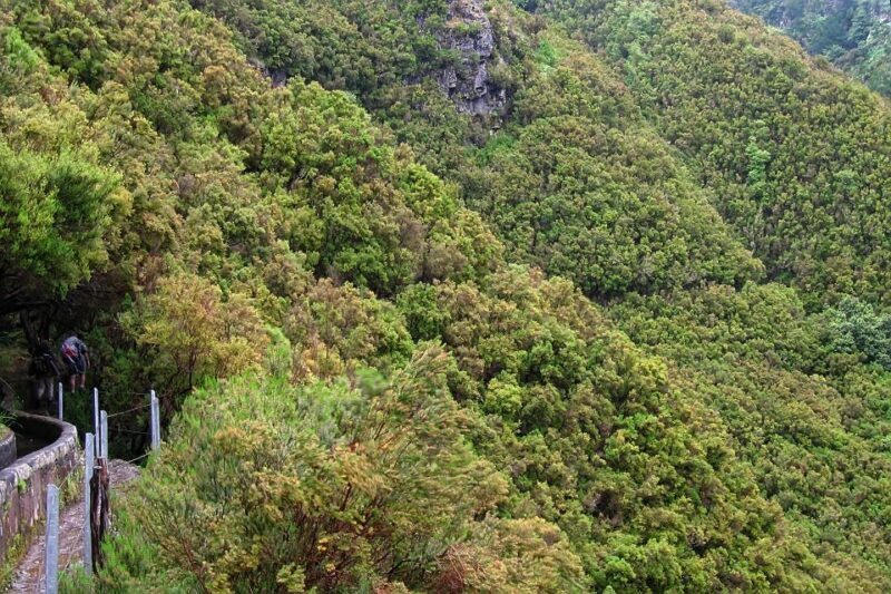 Madeira Walks - Rabaçal and the 25 Fountains - Final Thoughts: Is It Worth It?