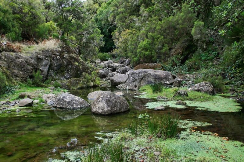 Madeira Walks - Rabaçal and the 25 Fountains - FAQs