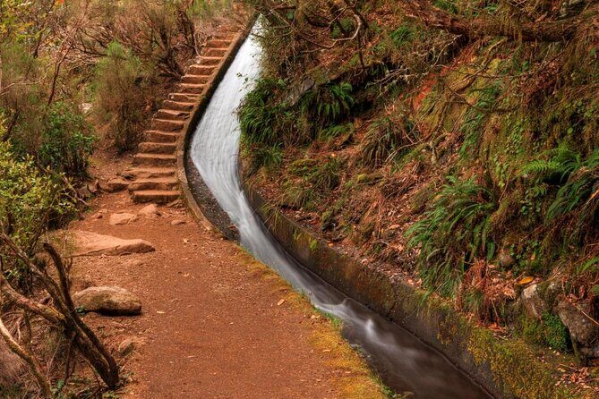 Madeira West 4x4 Jeep Safari: Wild Coast, Lava Pools & Fanal - Who Should Consider This Tour?