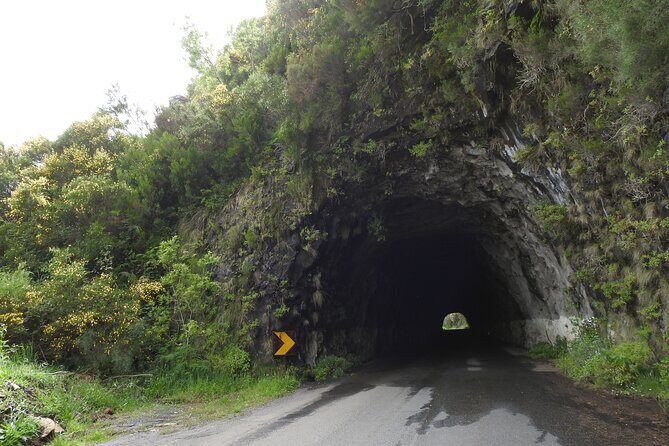 Madeira West 4x4 Jeep Safari: Wild Coast, Lava Pools & Fanal - The Sum Up