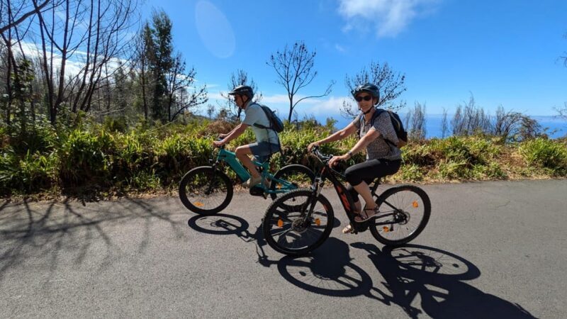 Madeira West coast: Guided Sightseeing E-Bike Tour - A Deep Dive into the Experience