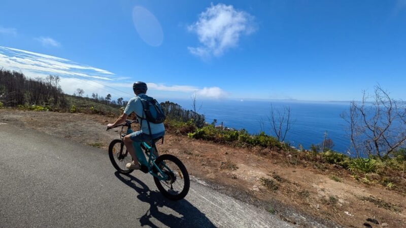 Madeira West coast: Guided Sightseeing E-Bike Tour - Who Will Love This Tour?