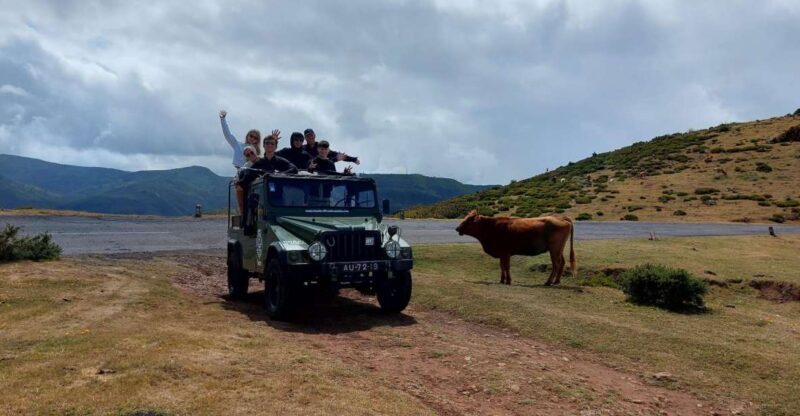 Madeira West Safari - The natural lava pools of Porto Moniz - An Overview of the Madeira West Safari Experience