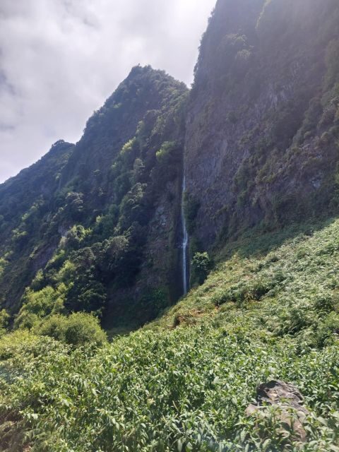 Madeira West Safari - The natural lava pools of Porto Moniz - Practical Tips for Travelers