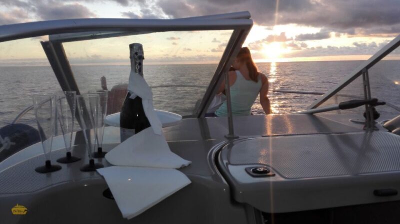 Madeira: Whale and Dolphin Watching Private Cruise - Who Will Love This Tour?