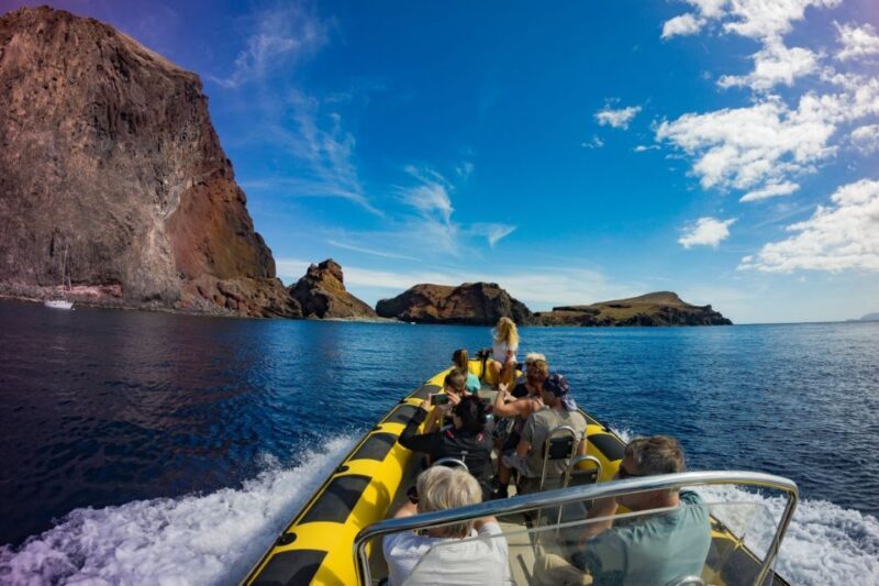 Madeira: Whale and Dolphin Watching Tour - The Itinerary: What to Expect from Start to Finish