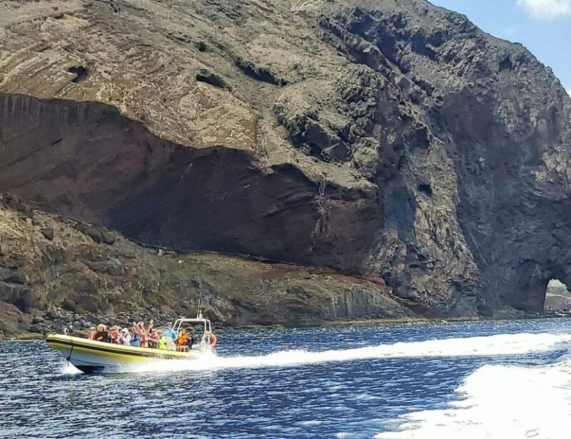 Madeira: Whale and Dolphin Watching Tour - Final Thoughts