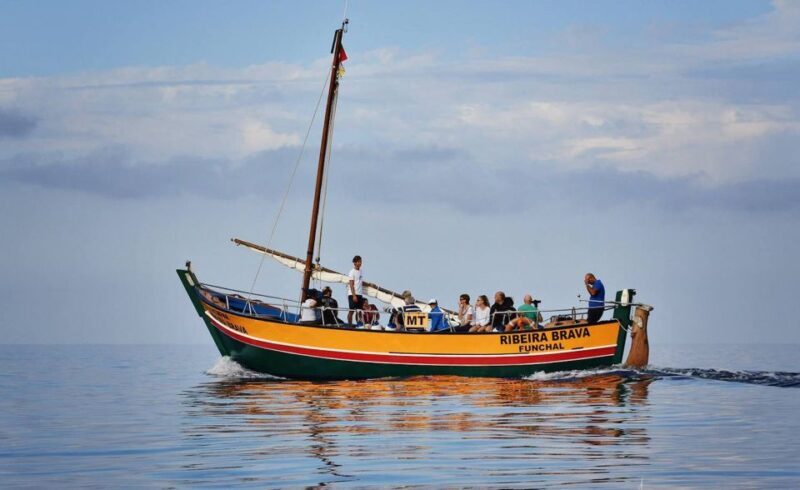 Madeira: Whale Watching Excursion in a Traditional Vessel - Final Thoughts