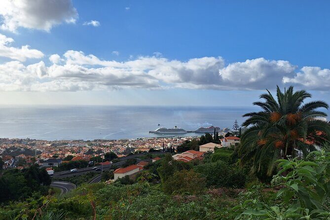 Madeira Wine Tasting and Funchal City tour - The Sum Up: Who Should Consider This Tour?