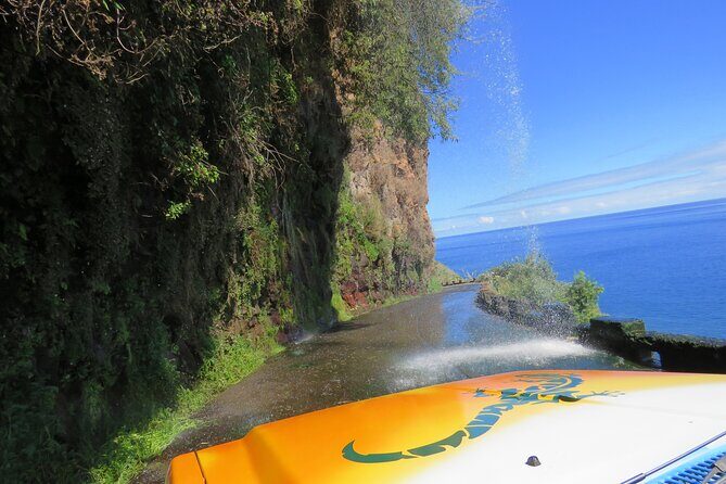Madeira's Majestic South Coastal Wonders - Authentic Experiences That Shine