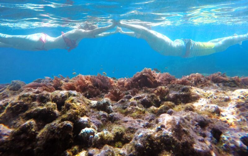 Madeiras Marine Reserve: Kayak & Snorkelling Trip - Key Points