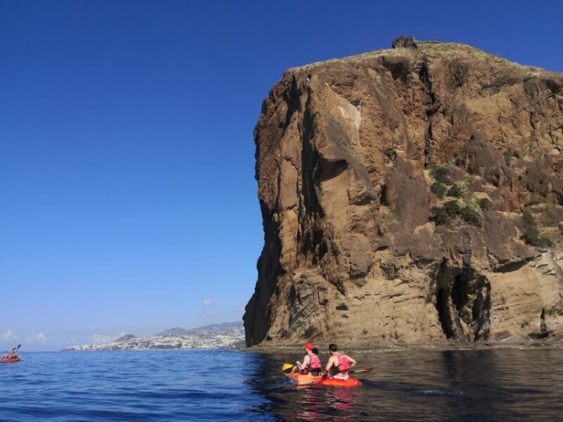 Madeiras Marine Reserve: Kayak & Snorkelling Trip - An In-Depth Look at the Tour