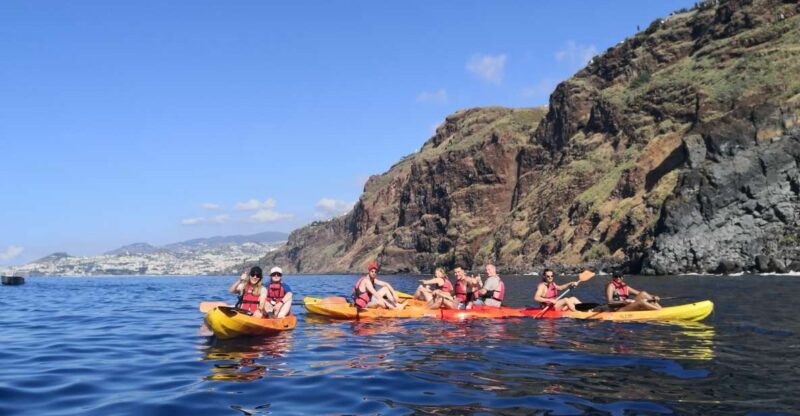 Madeiras Marine Reserve: Kayak & Snorkelling Trip - Final Thoughts