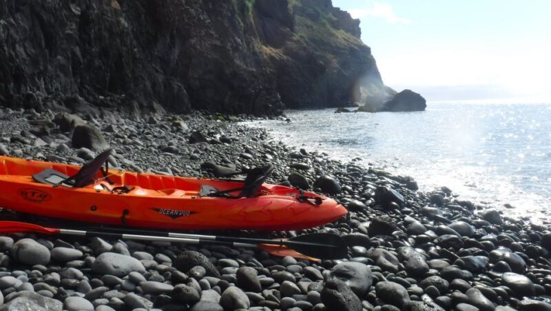 Madeiras Marine Reserve: Kayak & Snorkelling Trip - The Bottom Line
