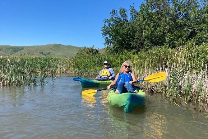 Madison River Guided Kayak Tour - What Travelers Can Expect