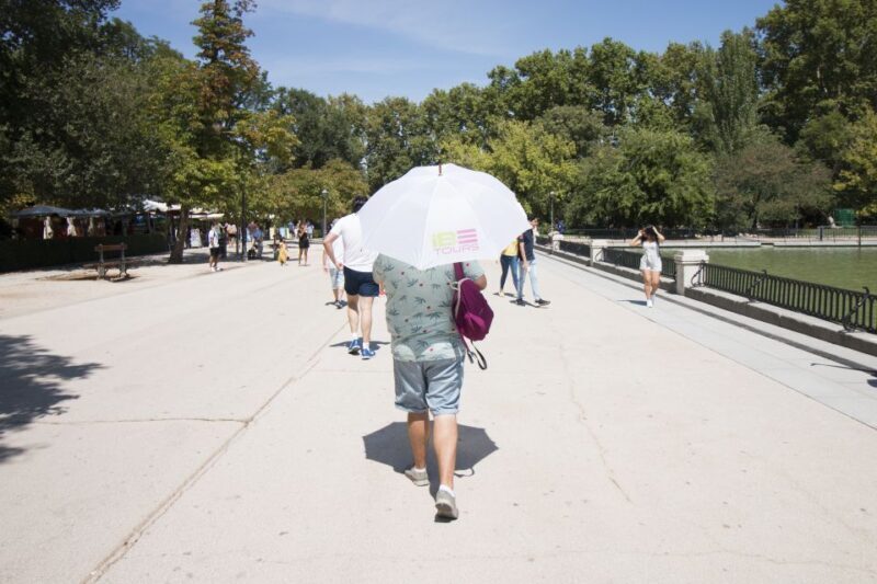 Madrid: 1.5-Hour Retiro Park Guided Walking Tour - Why This Tour Offers Great Value